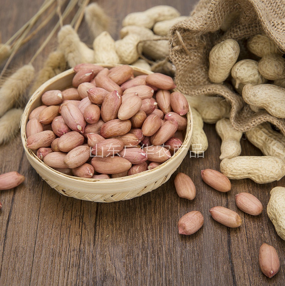 PEANUT KERNELS, LONG TYPE - Buy Product on Guanghua Agricultural ...